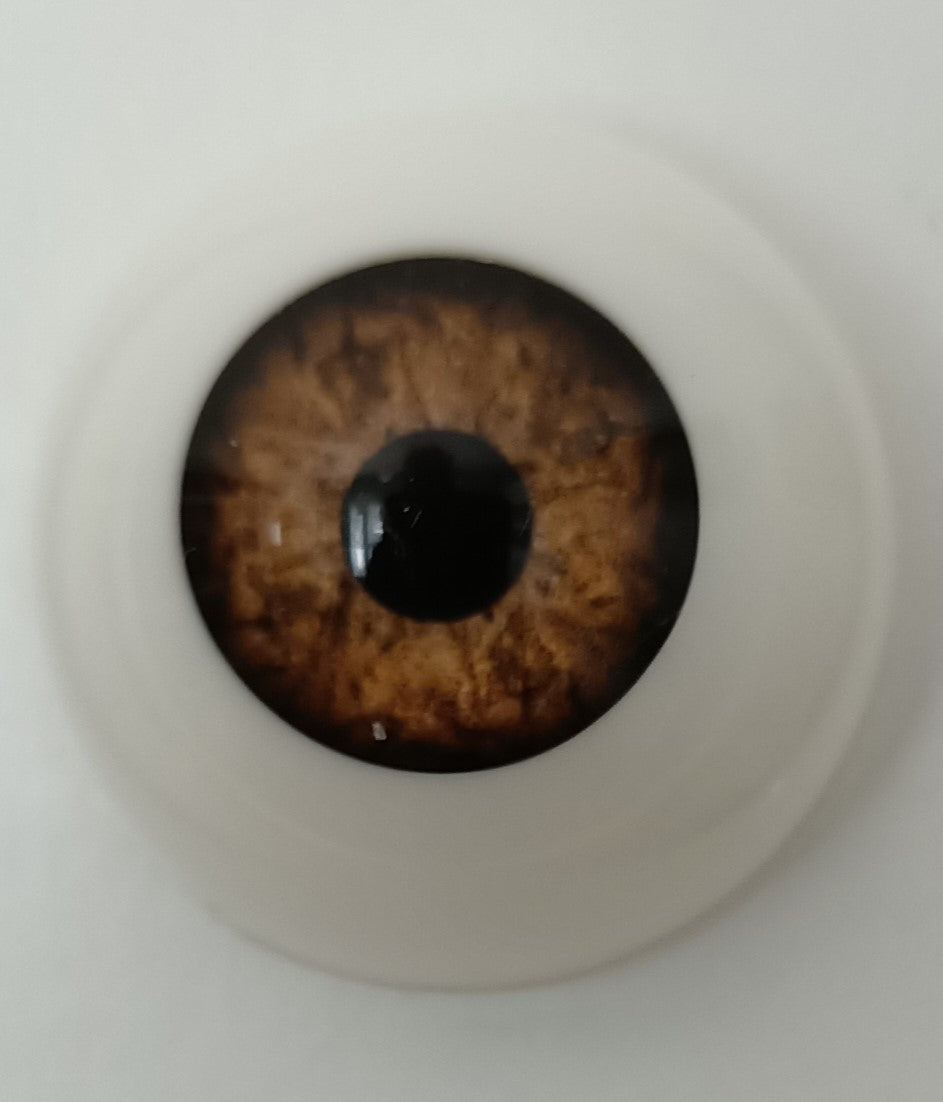 Acrylic doll eyes - HAZEL 20mm, 24mm – Anne Made Reborn Supplies